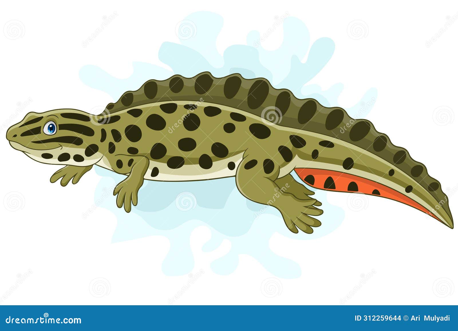 Cartoon Newt And Frog Animal Characters Coloring Page Vector ...