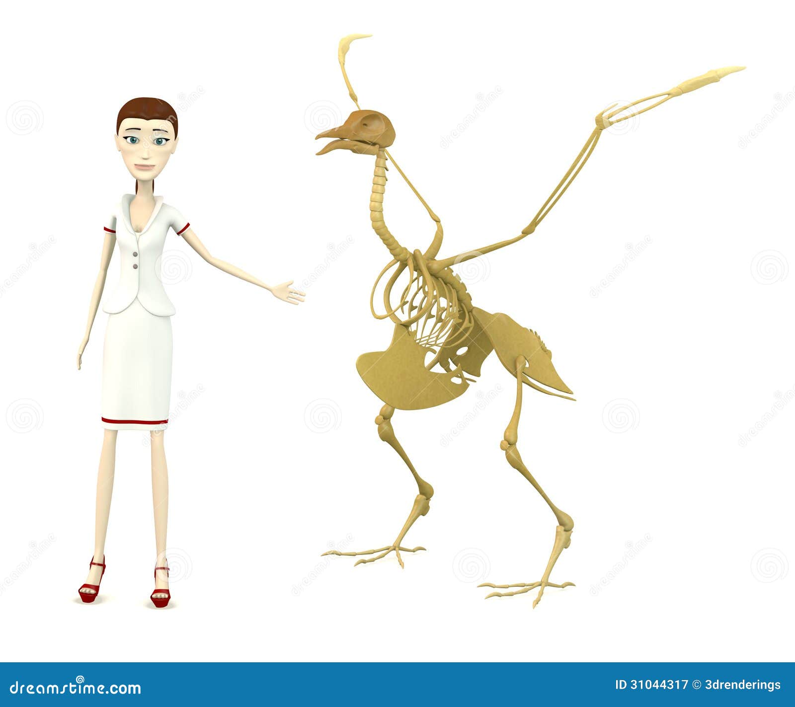 Bird Skeleton Silhouette Isolated On White Background. Animal Anatomy ...