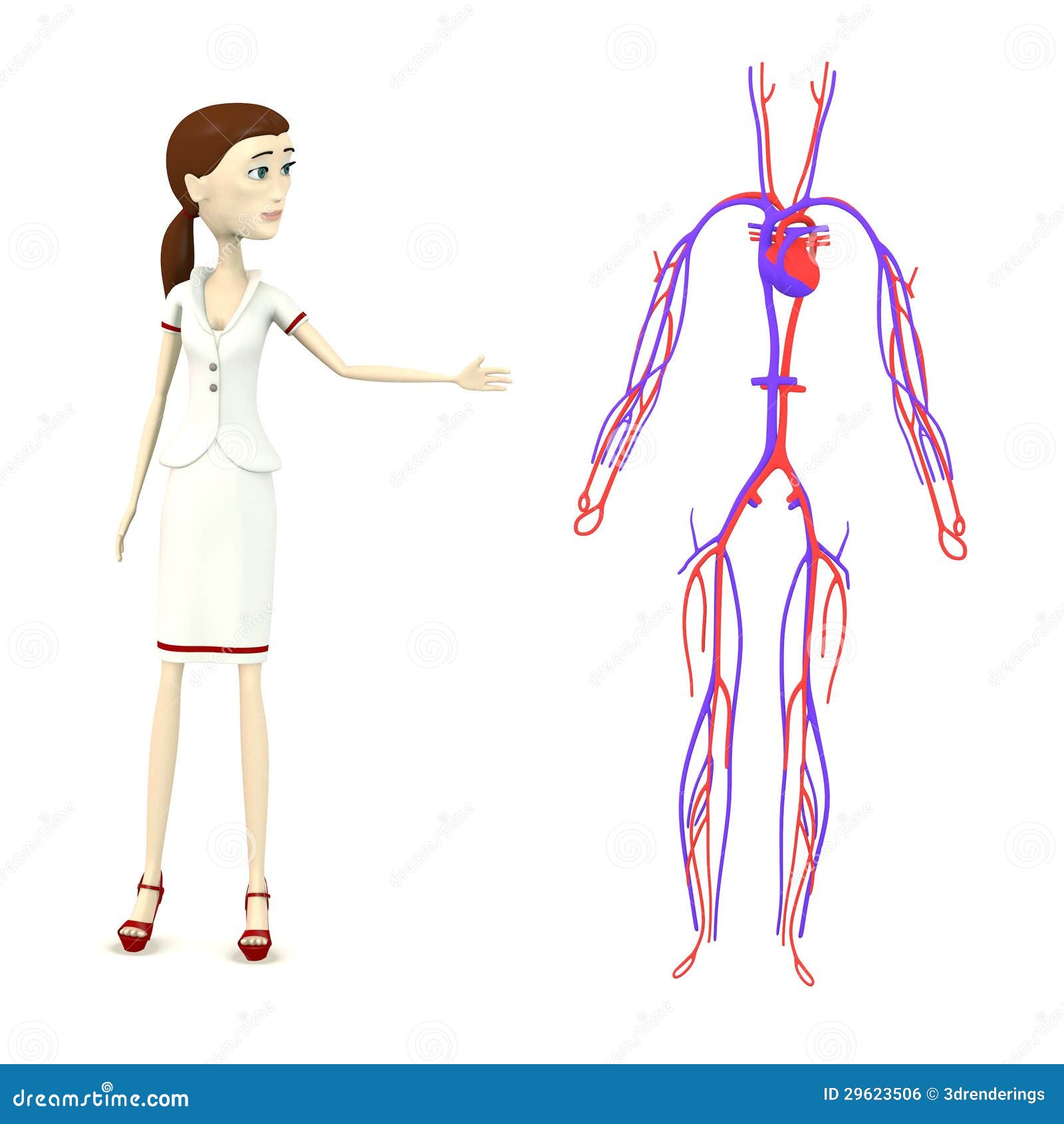 Cartoon Nurse with Circulatory System Stock Illustration - Illustration ...