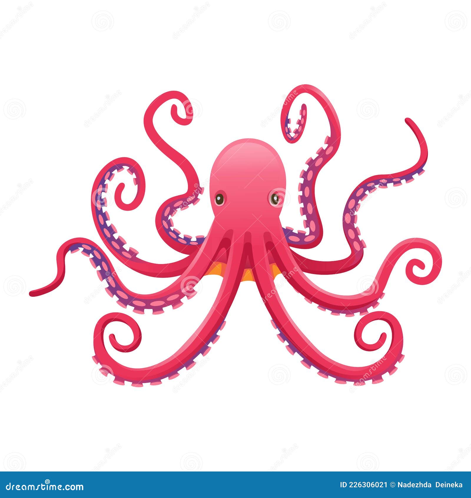 Octopus Anatomy Skeleton. Poulpe Sea Monster. Vector Aquatic Animal ...