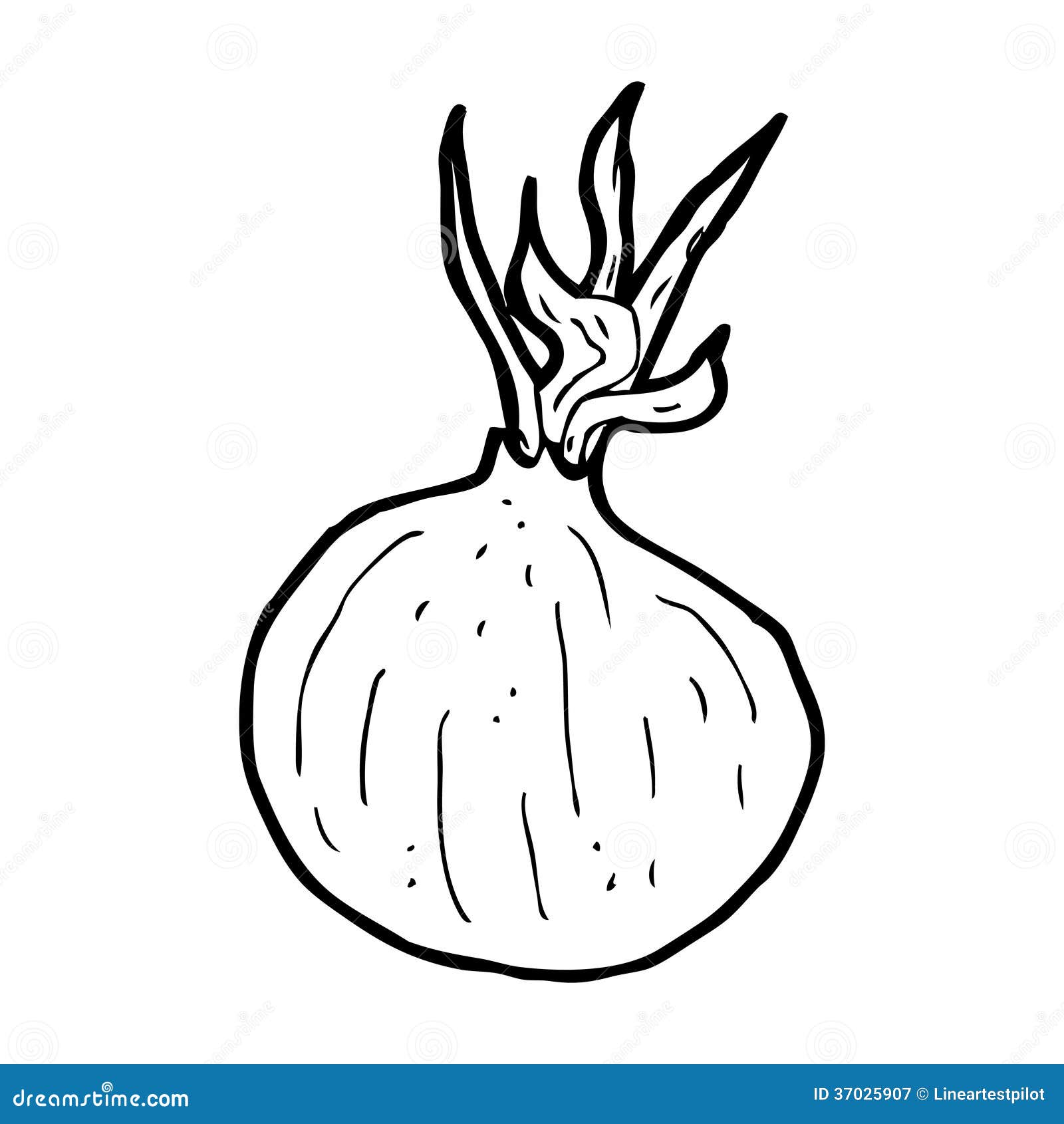Cartoon onion stock illustration. Illustration of retro - 37025907
