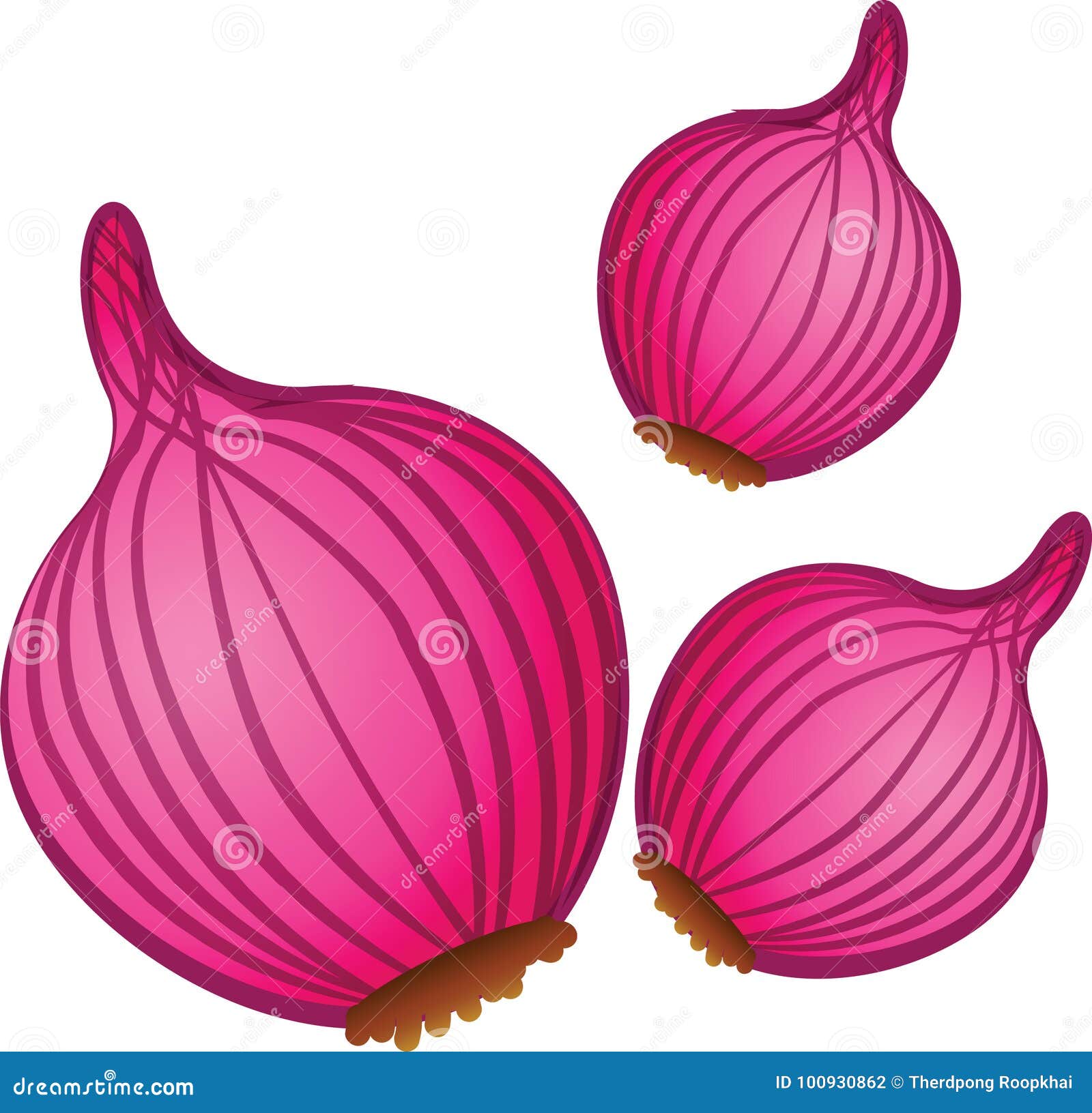 Onion stock vector. Illustration of ripe, design, cartoon - 100930862