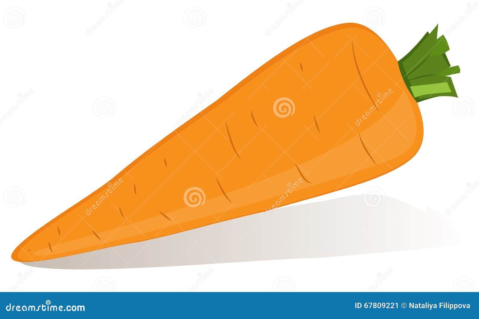 Cartoon orange carrot stock vector. Illustration of vitamin - 67809221