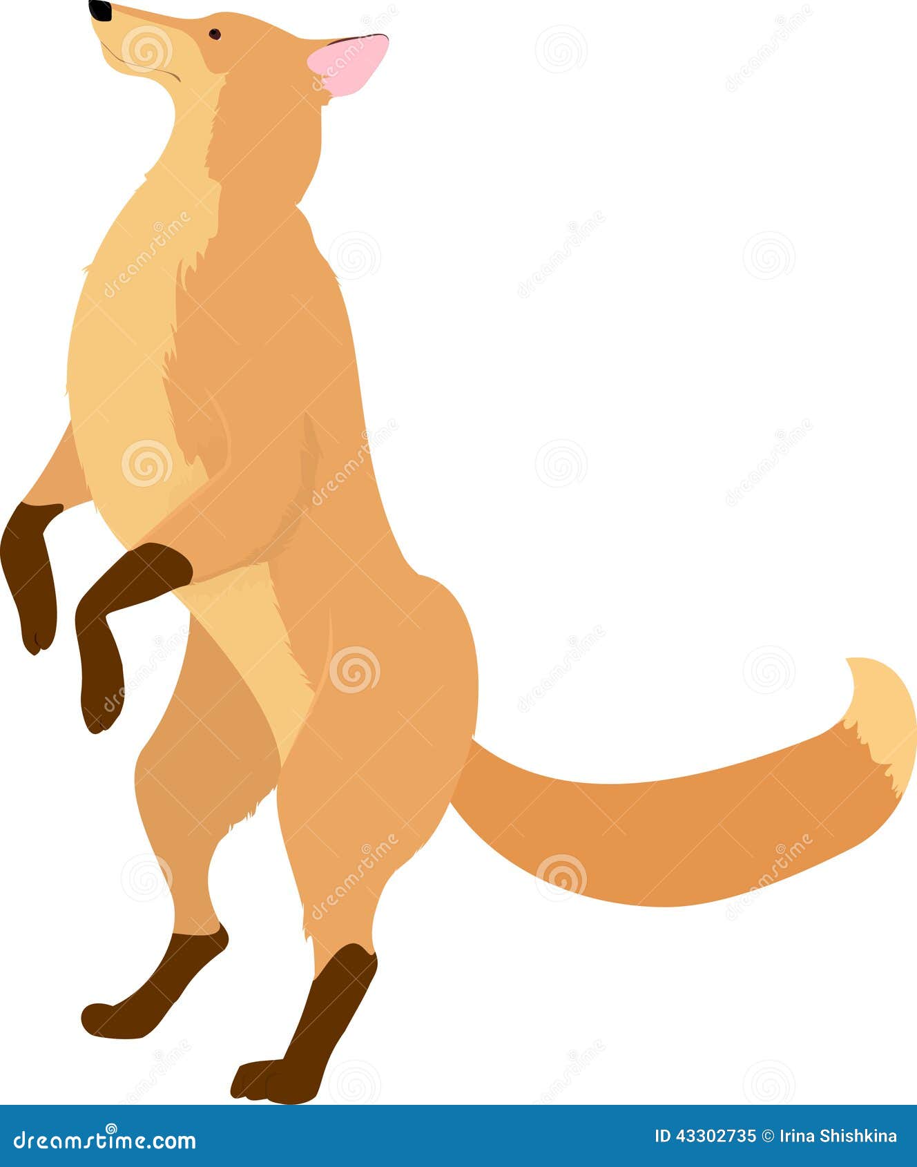 Cartoon orange fox stock vector. Illustration of natural - 43302735