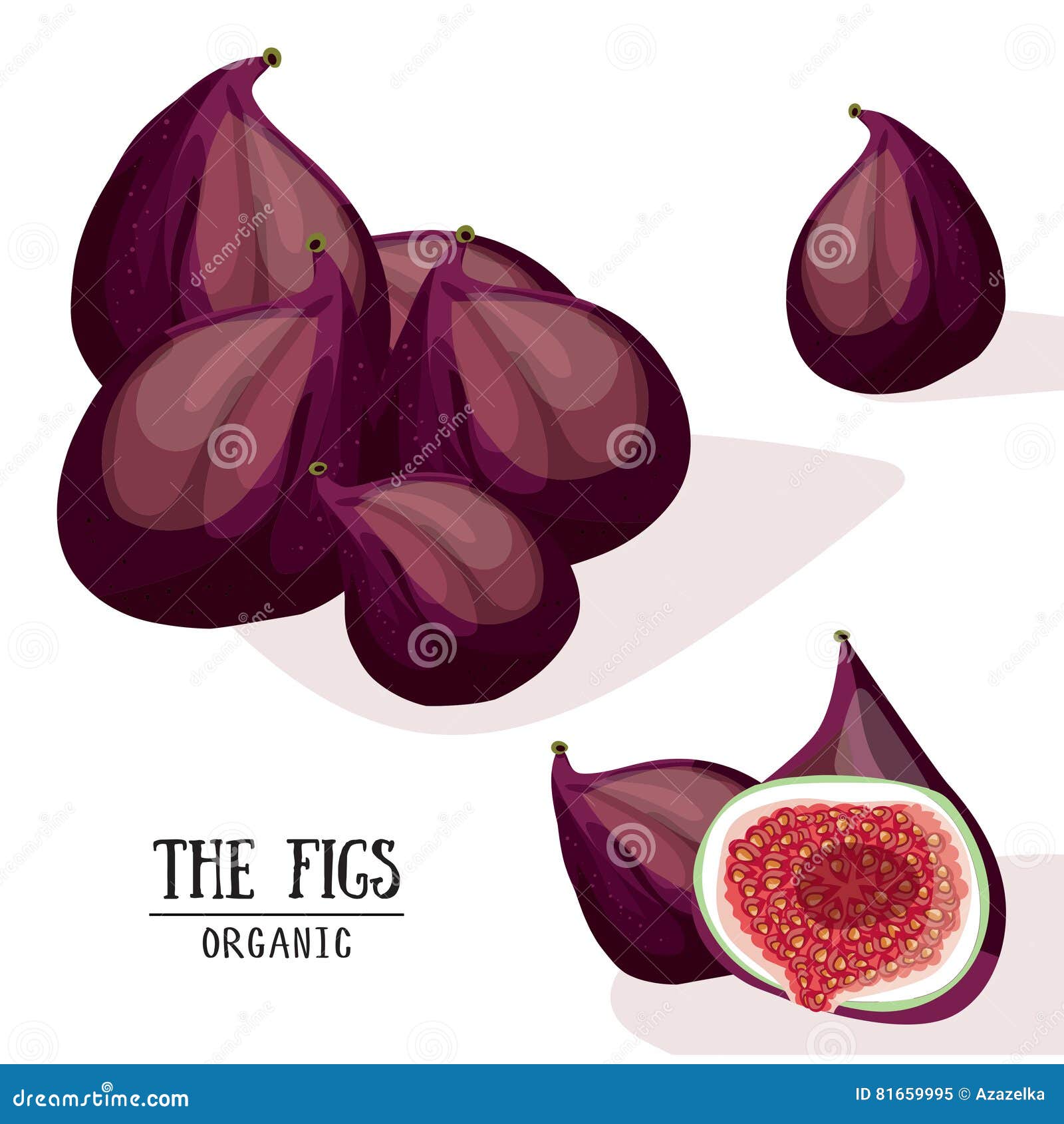 Figs Vector Hand Drawing Illustration. | CartoonDealer.com #236214574