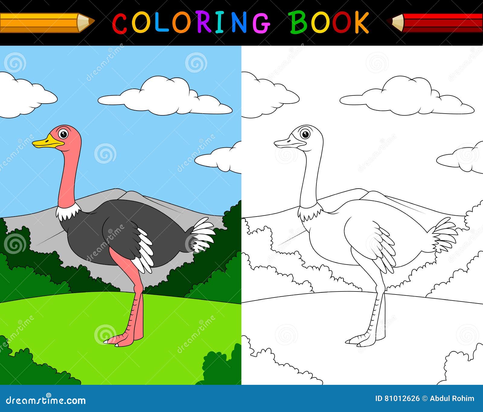 Cartoon Ostrich. Vector Illustration Of A Cute Ostrich. Drawing Birds ...