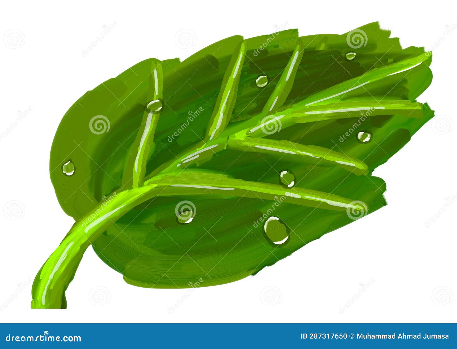 A Cartoon Painting of a Green Leaf. Stock Illustration - Illustration ...