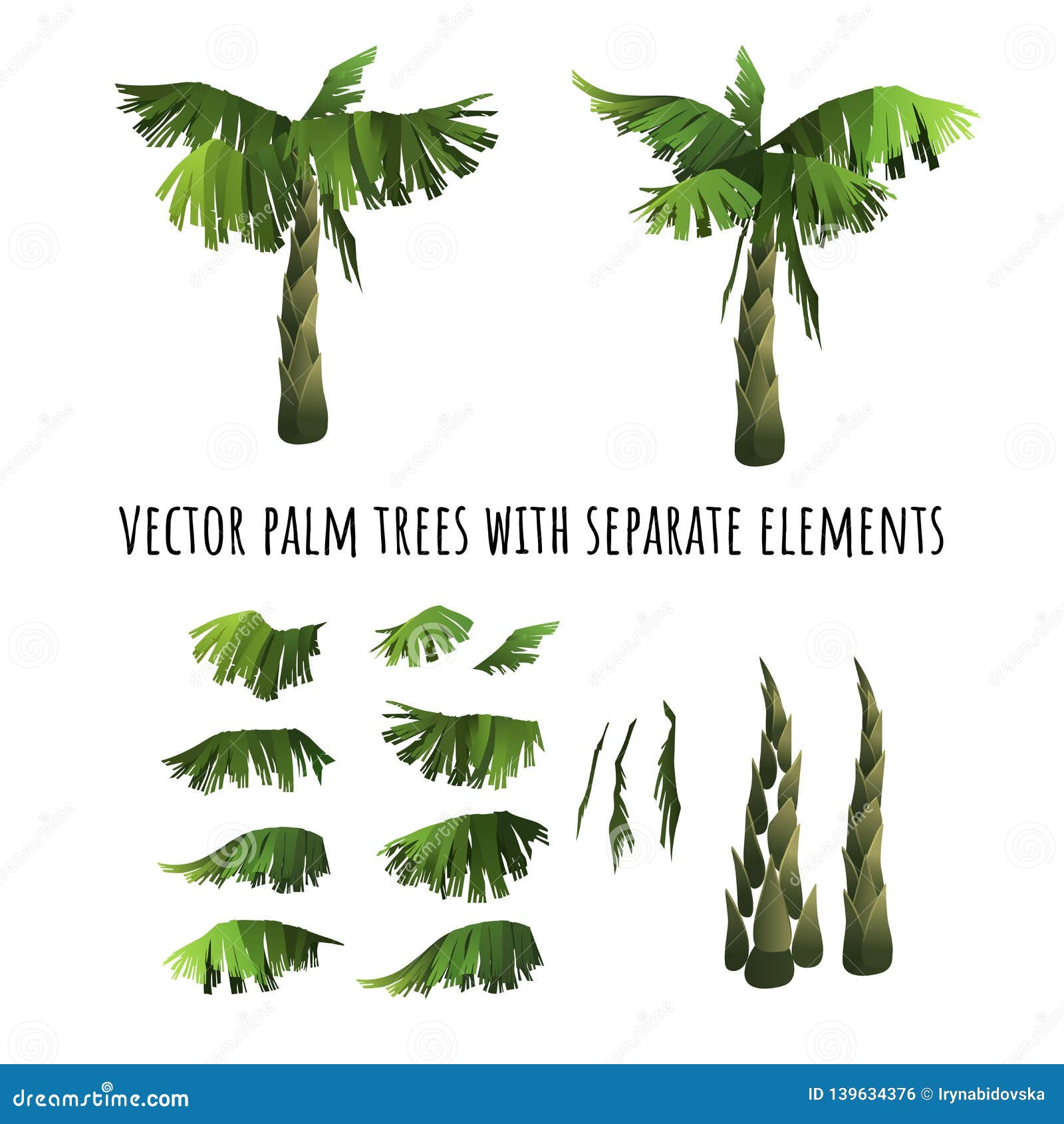 Cartoon Palm Trees with Separated Elements Isolated on White Background ...