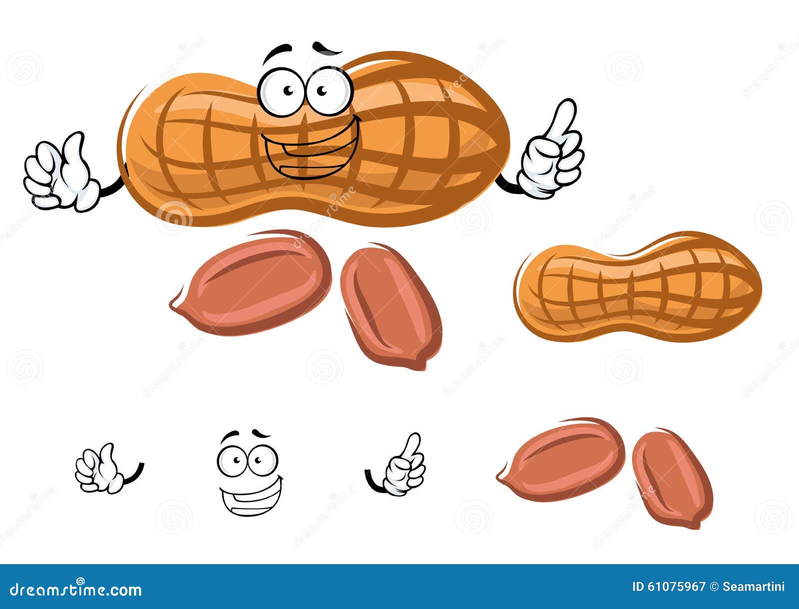 Cartoon Peanut in Shell with Kernels Stock Vector - Illustration of ...