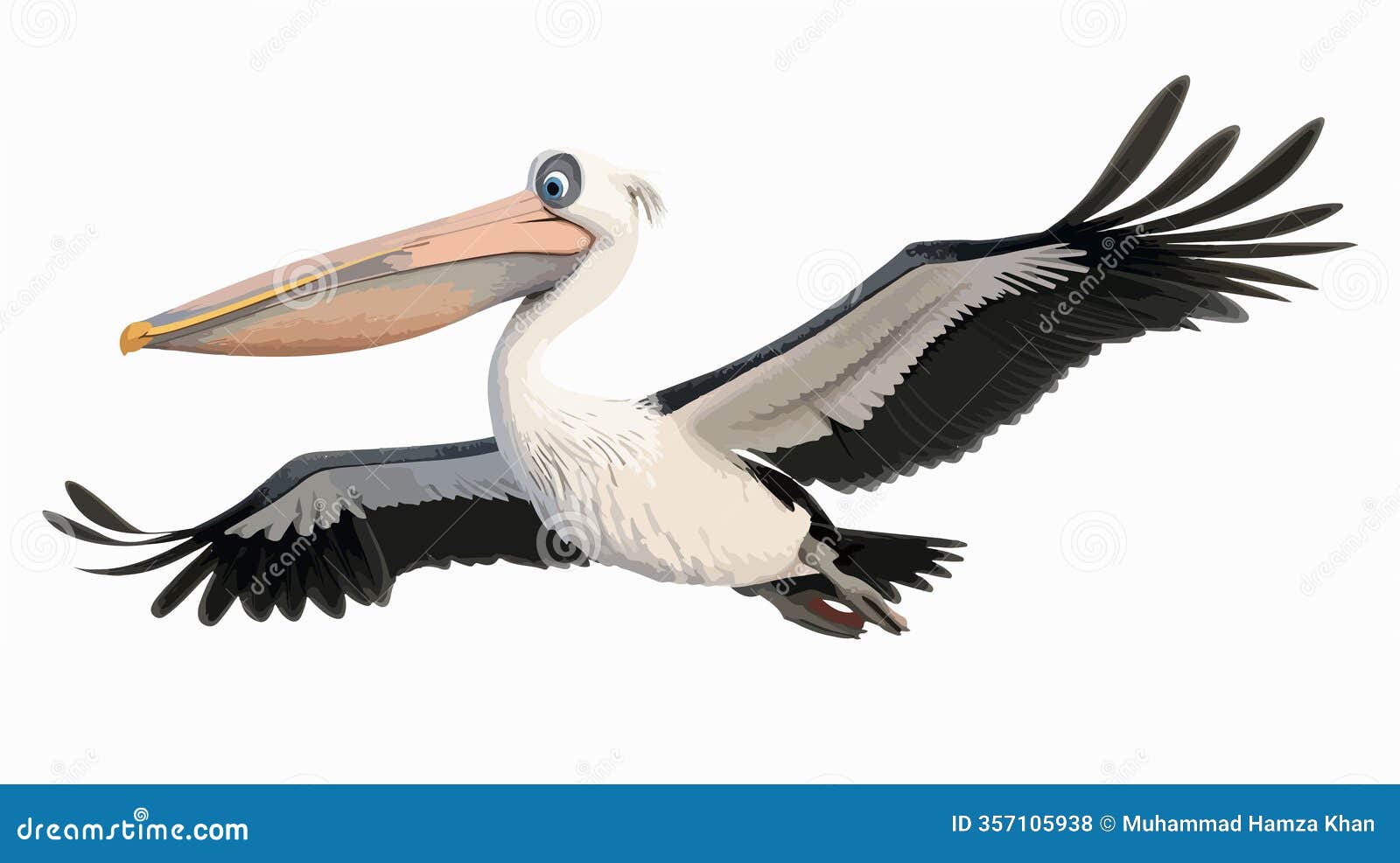 Cartoon Pelican Animation Vector Illustration for Creative Projects ...