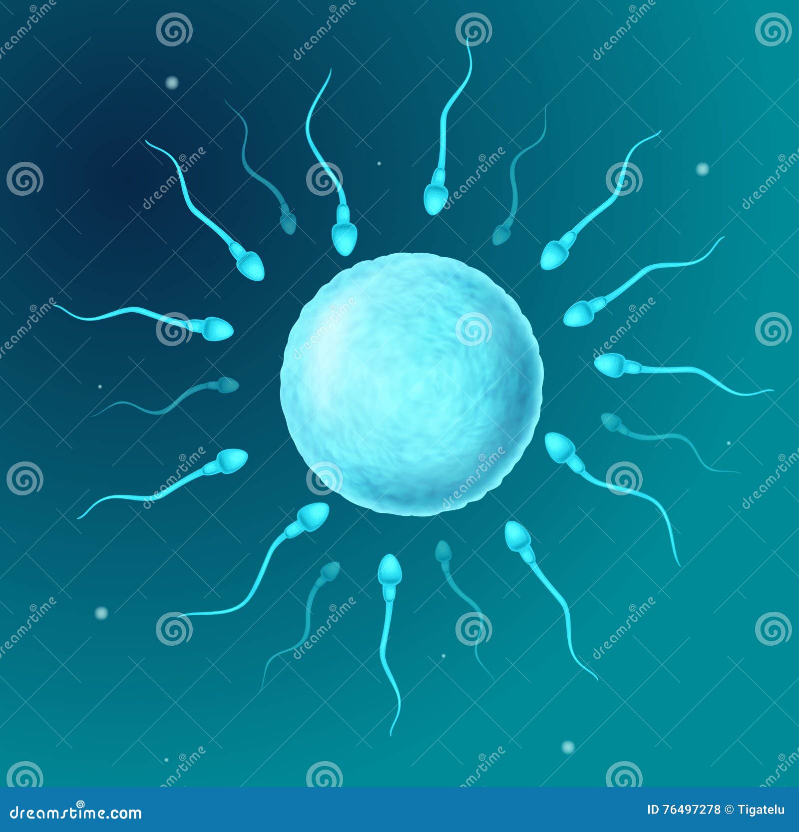 Cartoon Perms Going To the Ovule Stock Vector - Illustration of ovum ...