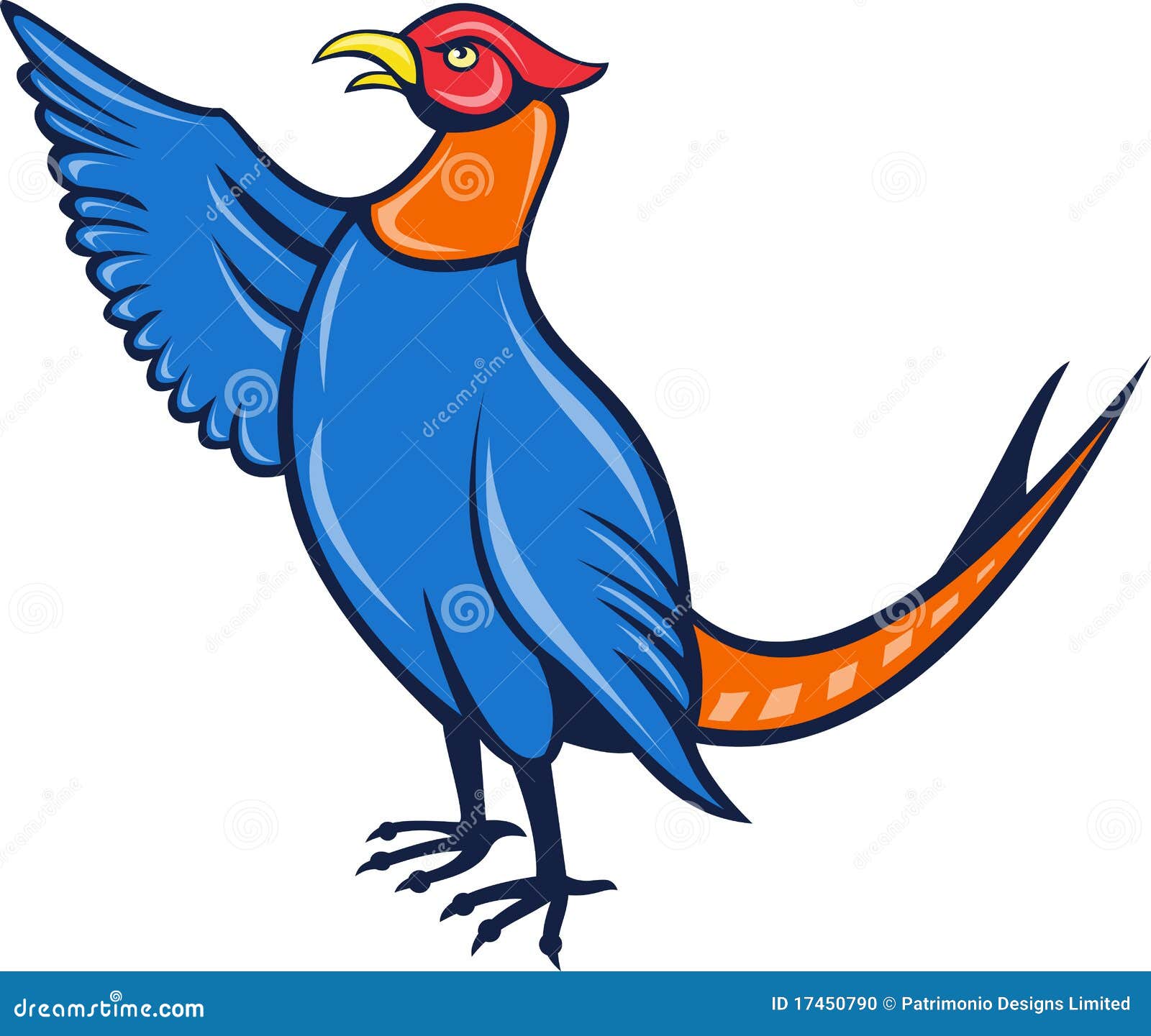 Pheasant Bird, Male And Female, Pheasant Farm, Logo Design. Farm ...
