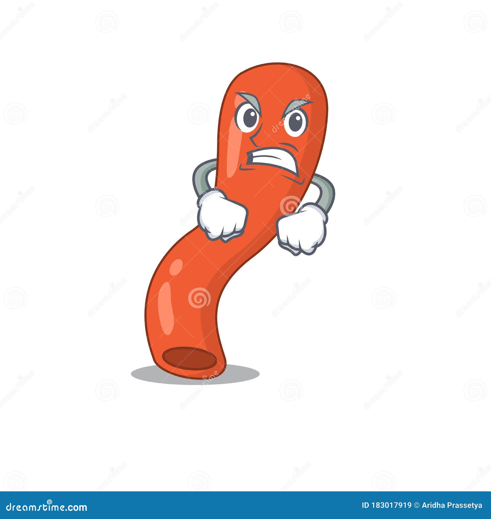 A Cartoon Picture of Appendix Showing an Angry Face Stock Vector ...