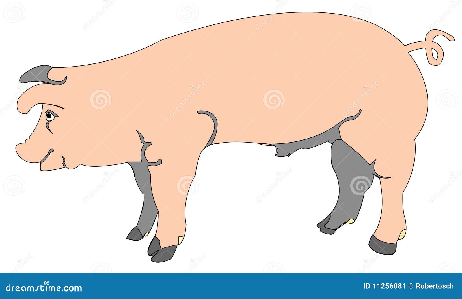 Cartoon of a pig stock vector. Illustration of funny - 11256081