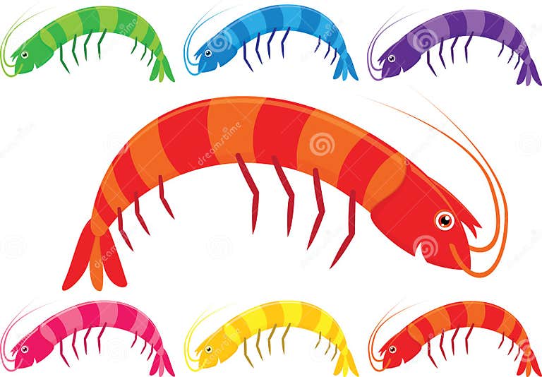 Cartoon Prawns stock vector. Illustration of food, seafood - 17904046