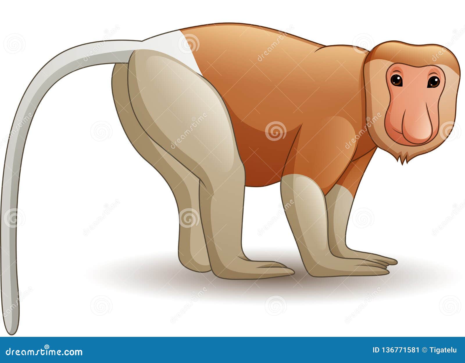 Proboscis Monkey Or Nasalis Larvatus Vector Silhouette Illustration Isolated On White ...
