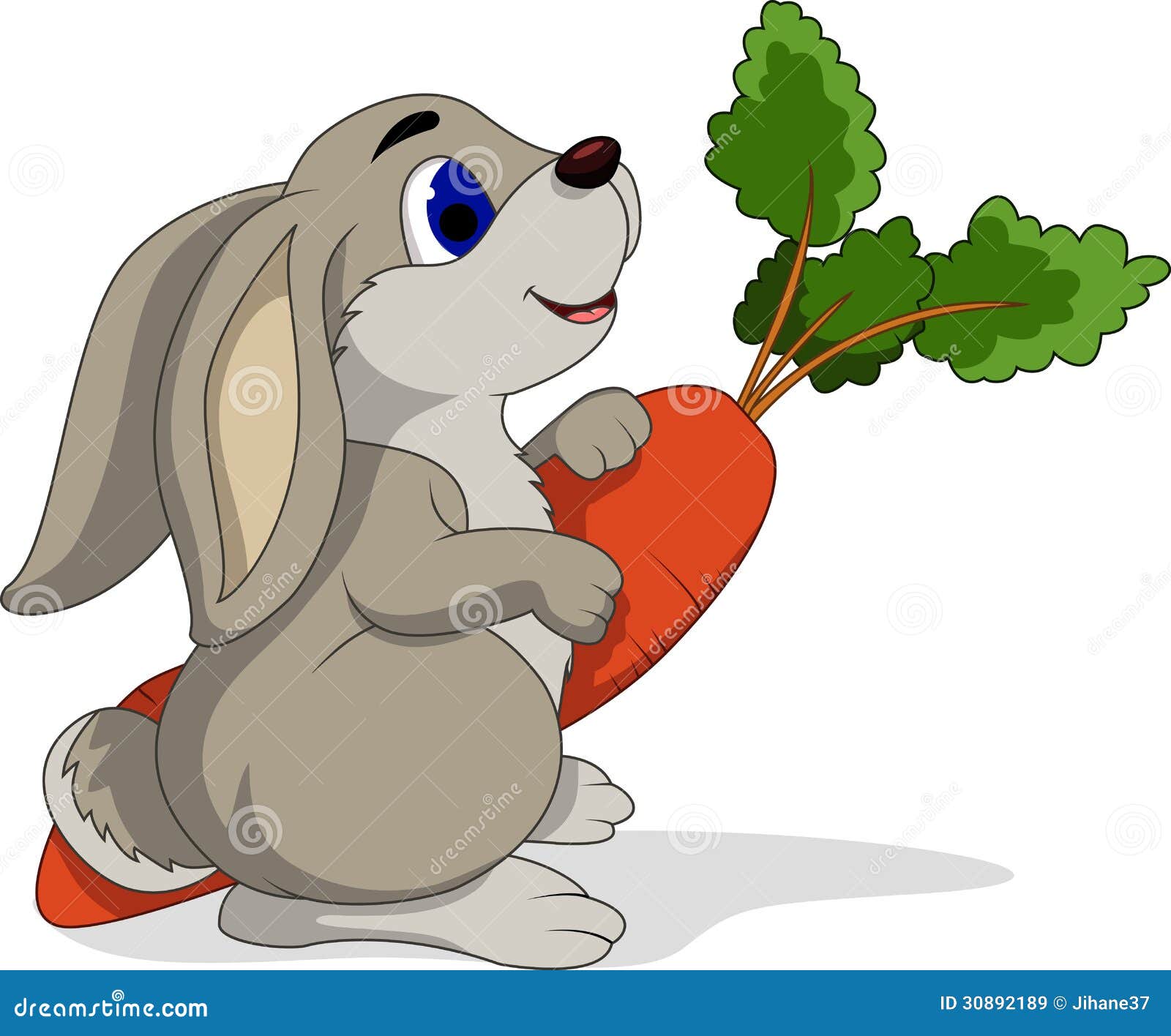Cartoon Rabbit Holding Carrots Stock Illustration - Illustration of ...