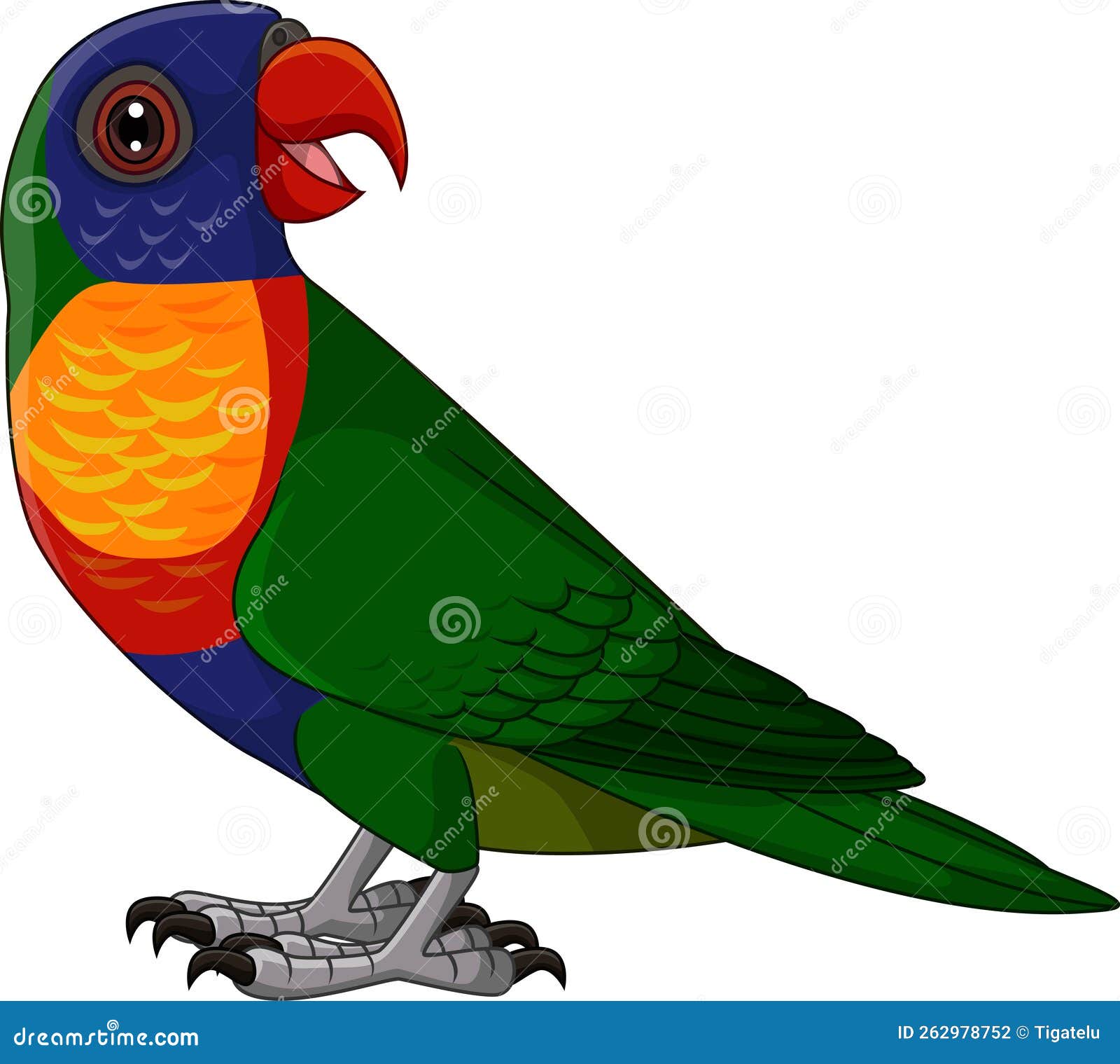 Rainbow Lorikeet Illustration Vector | CartoonDealer.com #138102434