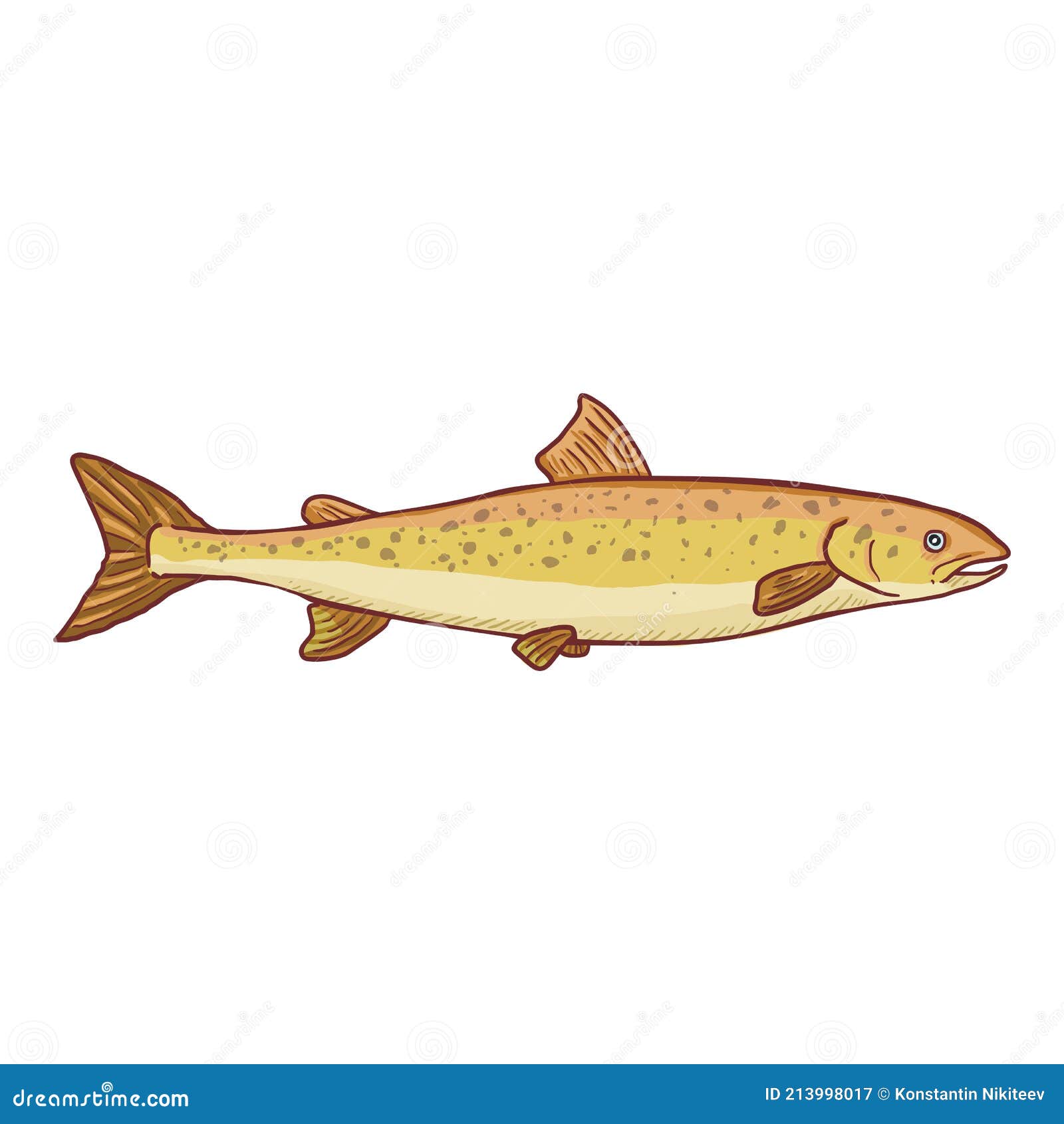 Trout, Vector Cartoon Illustration | CartoonDealer.com #65882835