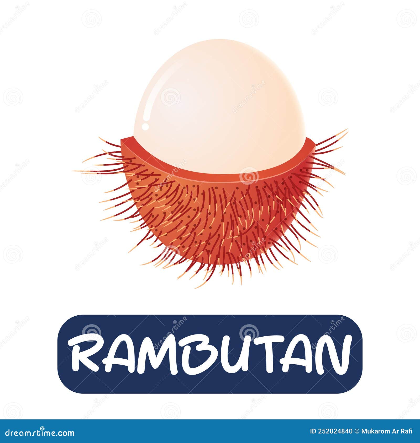 Cartoon Rambutan Fruit Vector Isolated on White Background Stock Vector ...