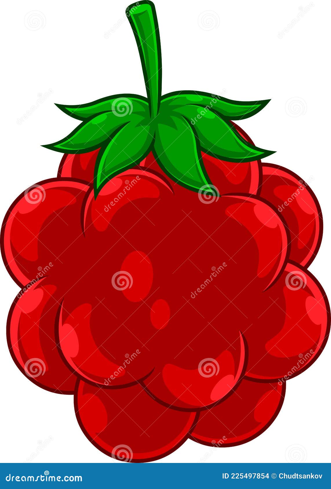 Cartoon Raspberry With Green Leaves Isolated On White Background Vector ...