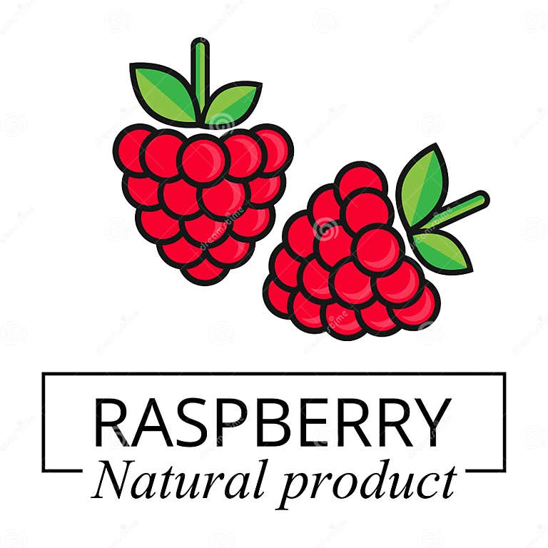 Cartoon raspberry label stock vector. Illustration of raspberry - 91685667