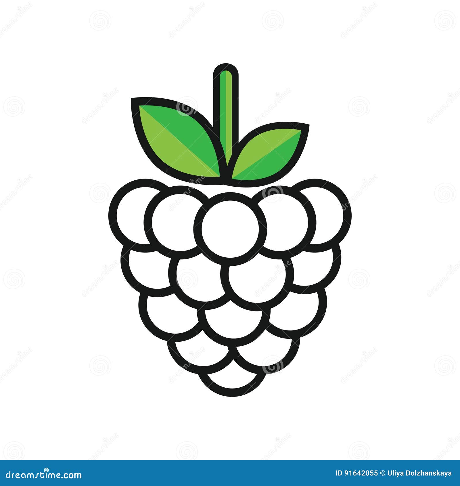 Raspberry Outline Stock Illustrations – 3,402 Raspberry Outline Stock ...