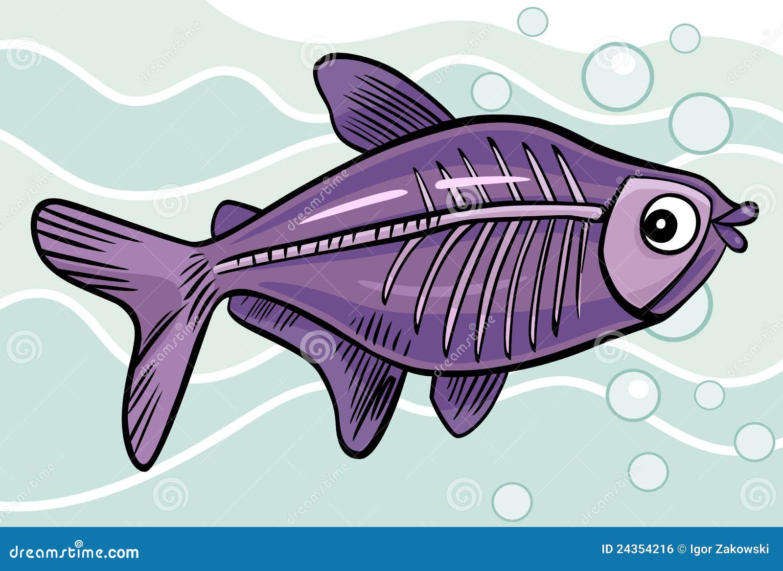 Cartoon x-ray fish stock vector. Illustration of animal - 24354216