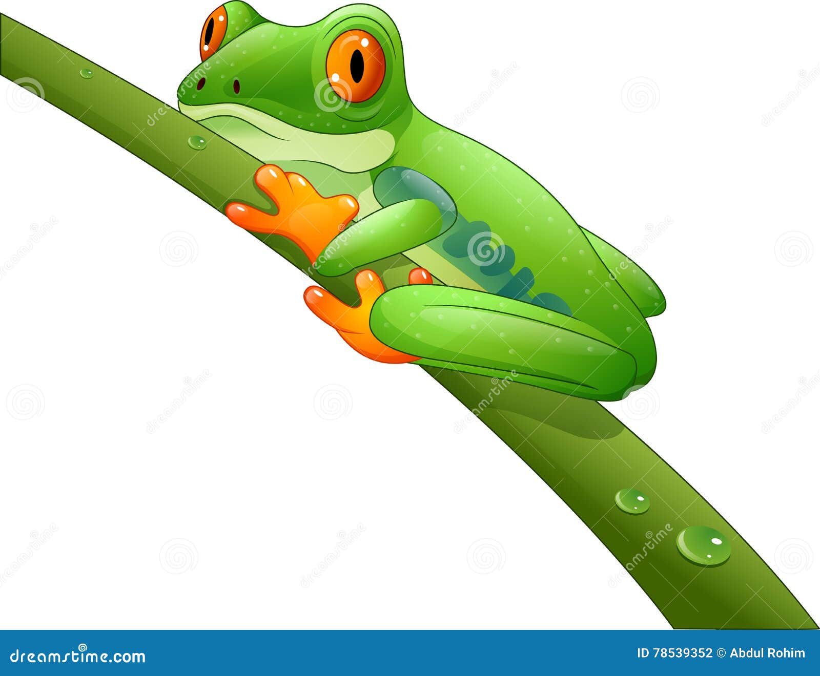 Cartoon Red-Eyed Amazon On Branch Vector Illustration | CartoonDealer ...