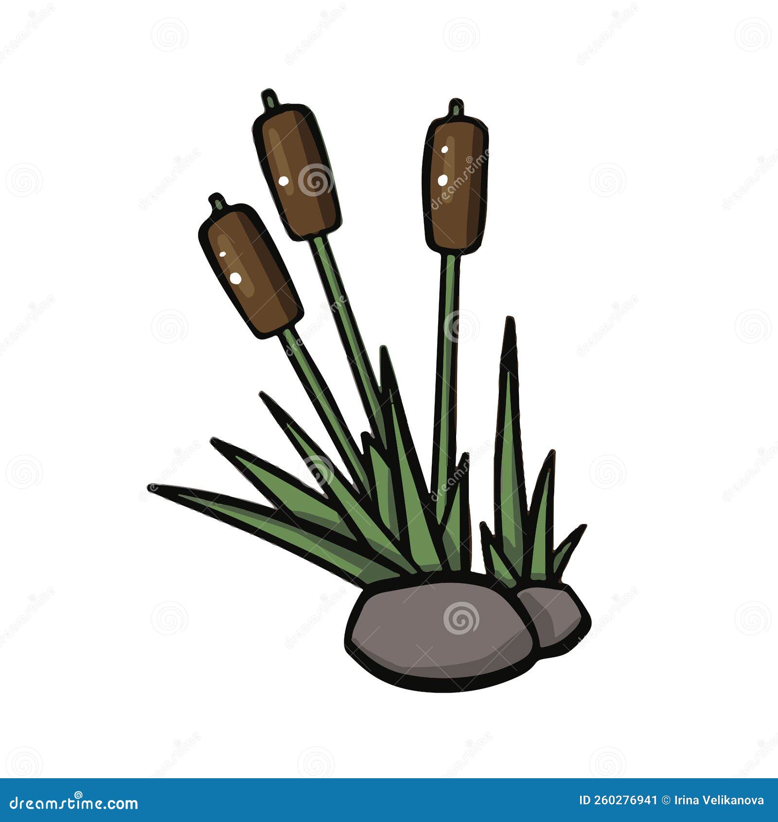 Cartoon Reeds, Thicket and Vector Color Illustration Stock Vector ...