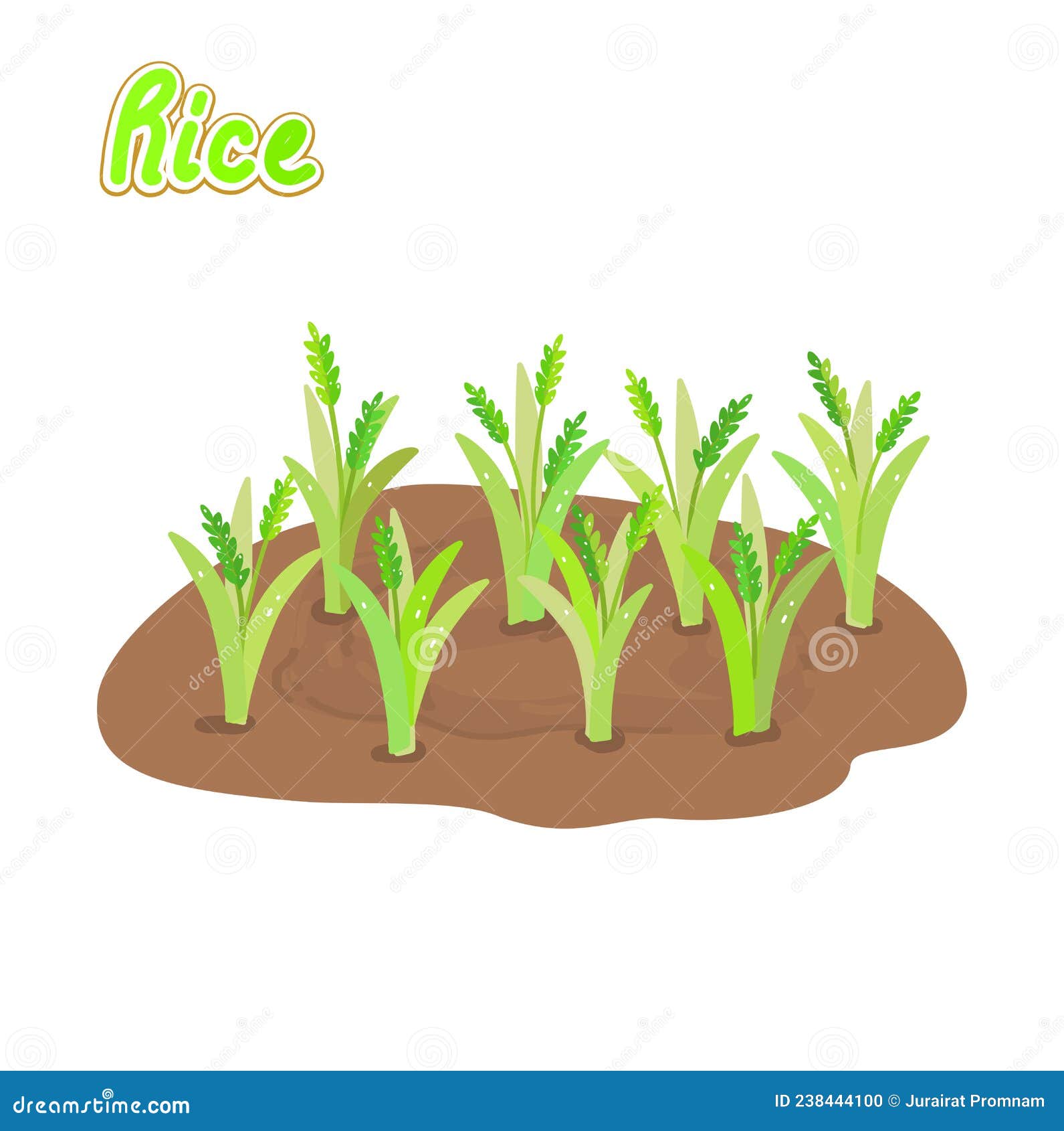 Cartoon Rice Vector on Background. Stock Vector - Illustration of farm ...