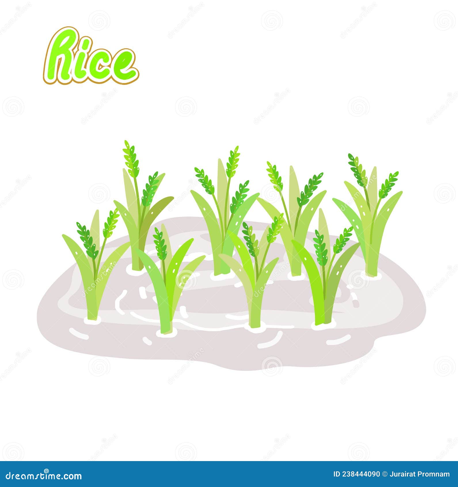 Cartoon Rice Vector on Background. Stock Vector - Illustration of green ...