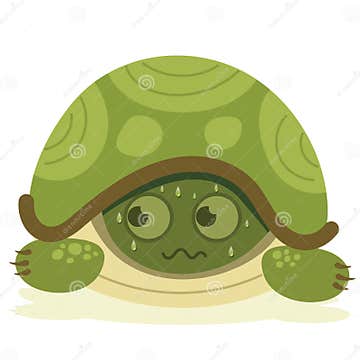 Cartoon scared turtle stock vector. Illustration of shell - 99271795