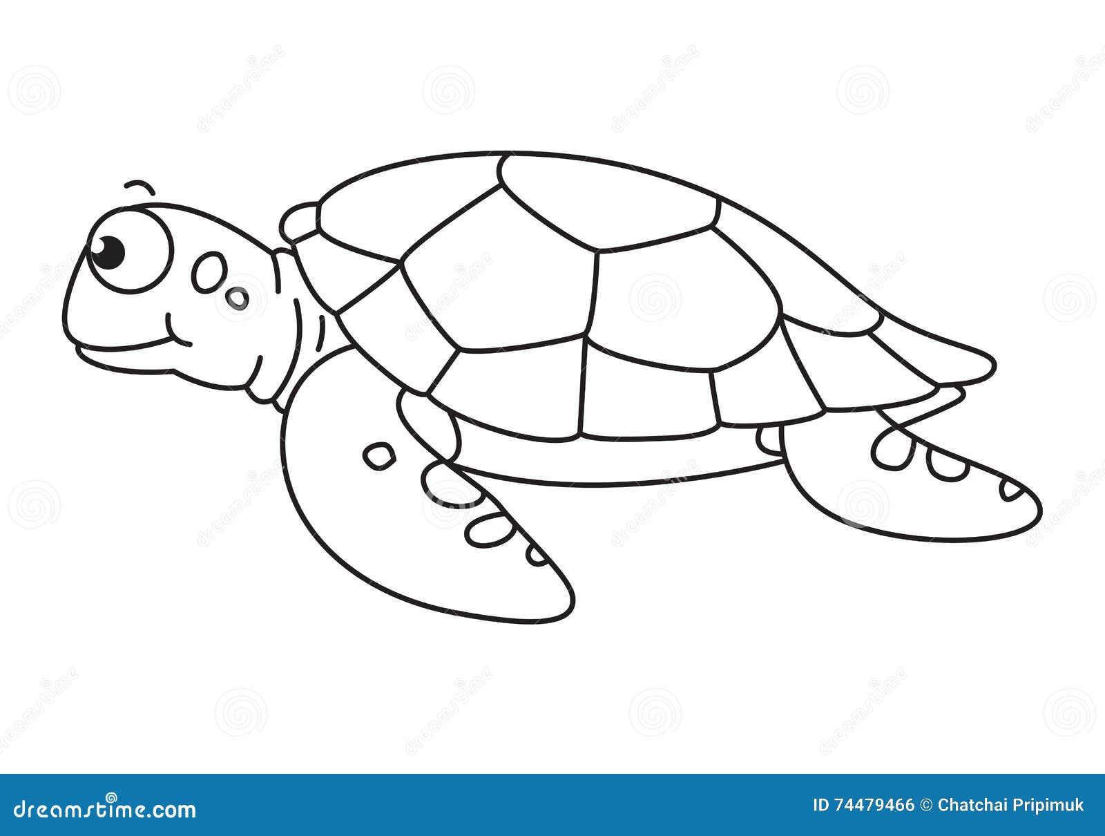 Cartoon sea turtle, vector stock vector. Illustration of icon - 74479466