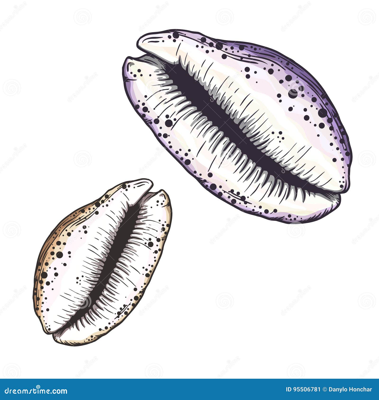 Cartoon Seashell Illustration. Stock Vector - Illustration of nature ...