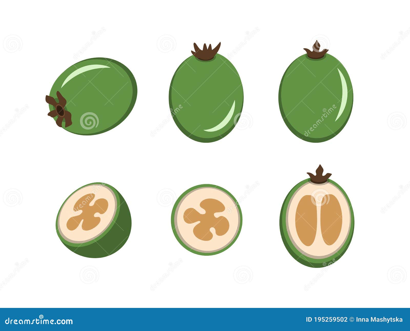 Cartoon Set of Feijoa, Vector Illustration Stock Illustration ...