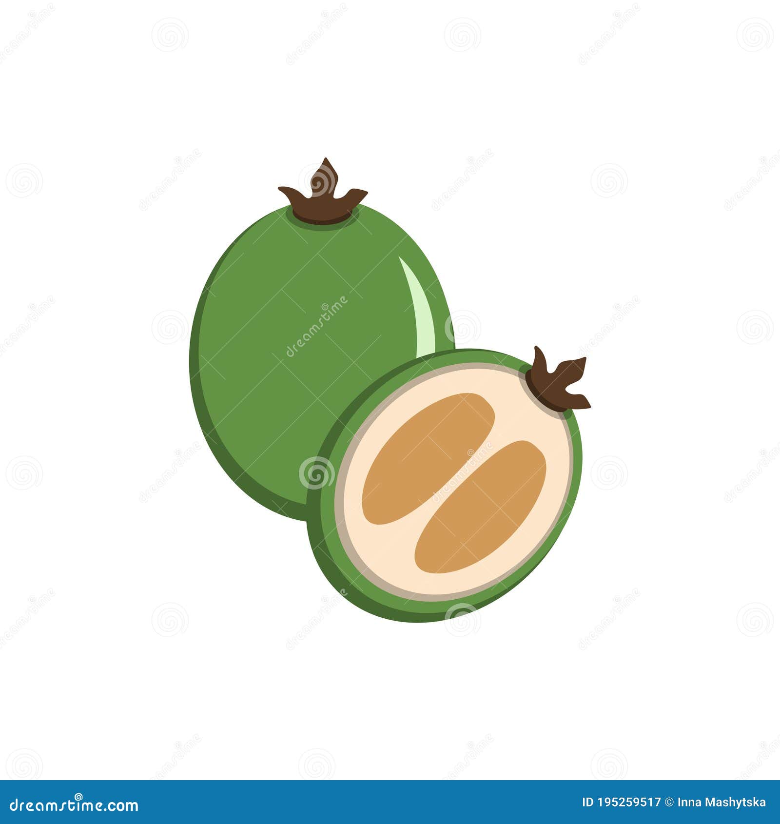 Cartoon Set of Feijoa, Vector Illustration Stock Illustration ...