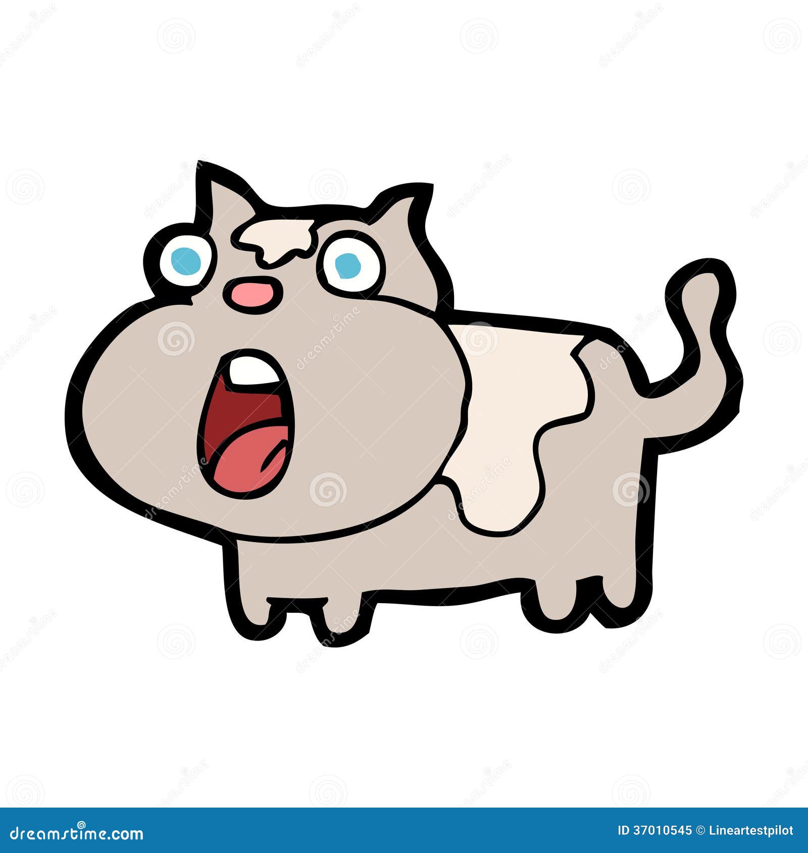 Cartoon shocked cat stock vector. Illustration of character - 37010545