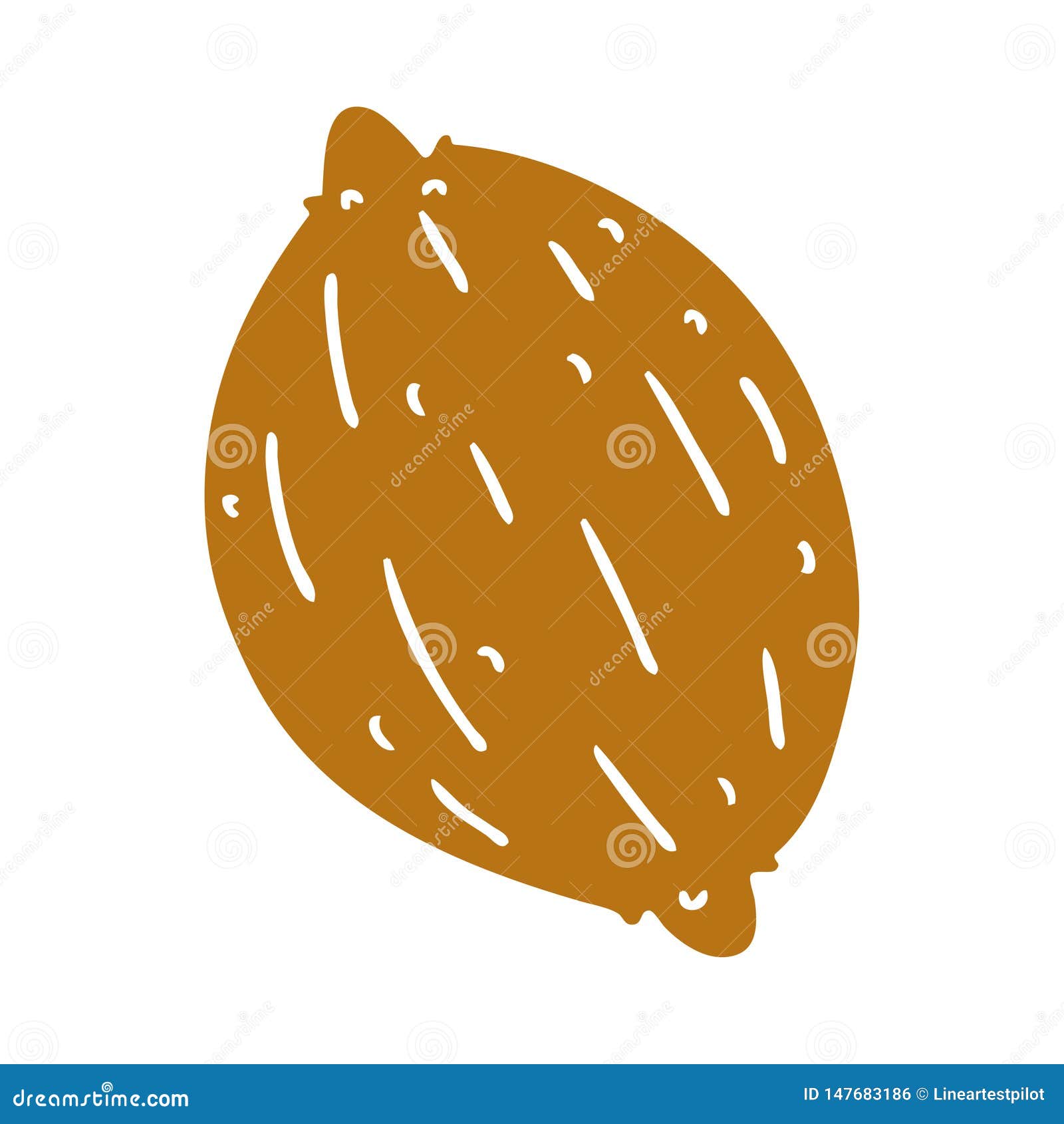 Cartoon of a single walnut stock vector. Illustration of walnut - 147683186