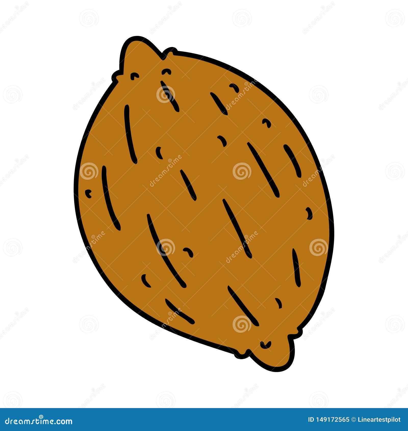 Cartoon of a single walnut stock vector. Illustration of drawn - 149172565