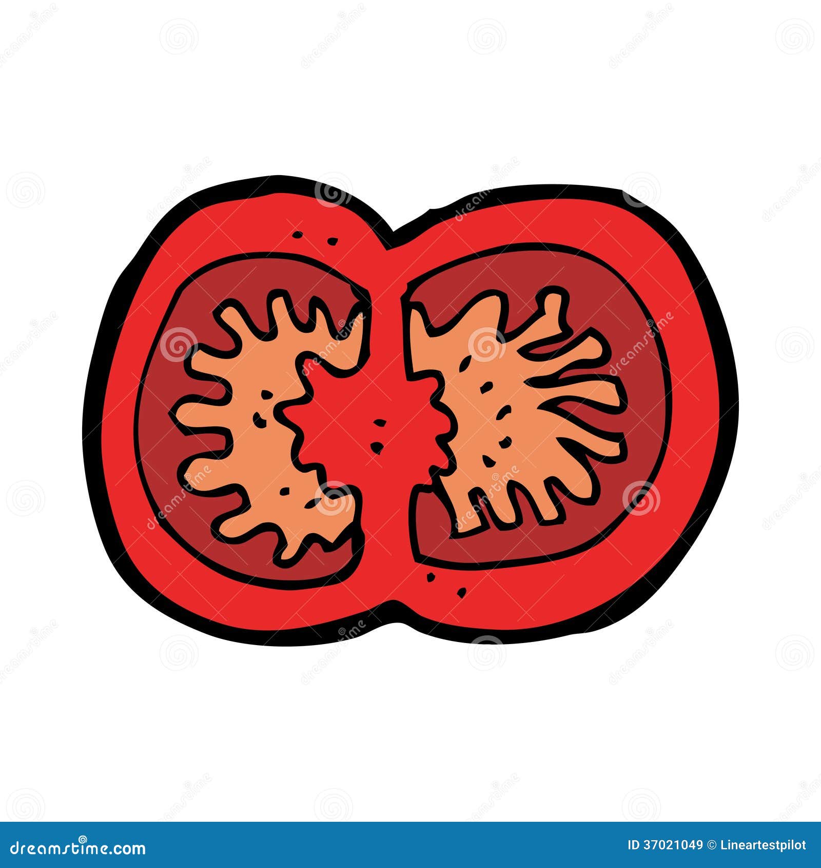 Cartoon sliced tomato stock vector. Illustration of hand - 37021049