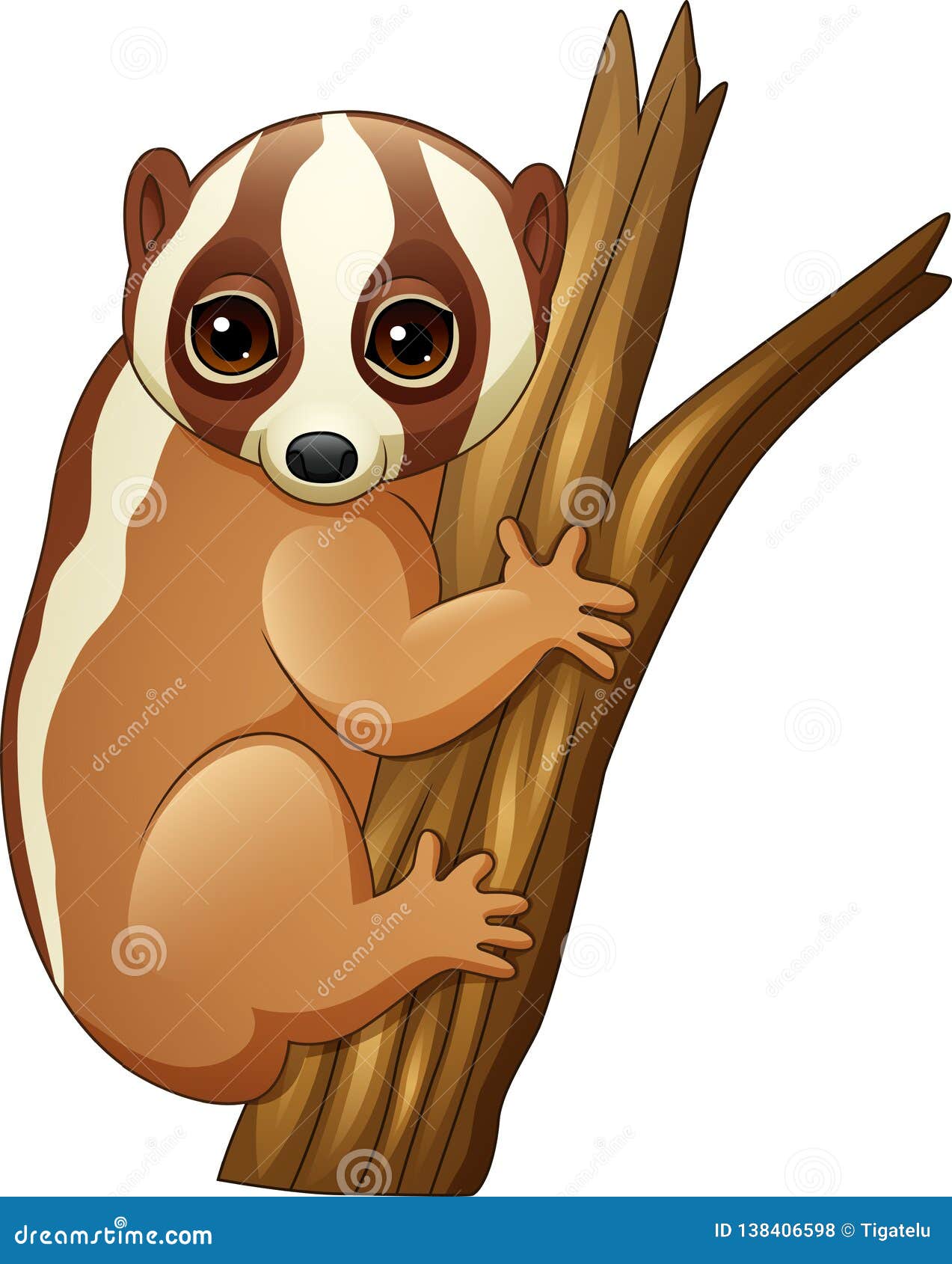 Cartoon Slow Loris on the Branch Stock Vector - Illustration of nature ...