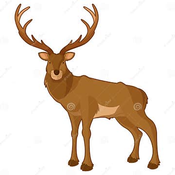 Cartoon smiling deer stock vector. Illustration of humor - 68613364