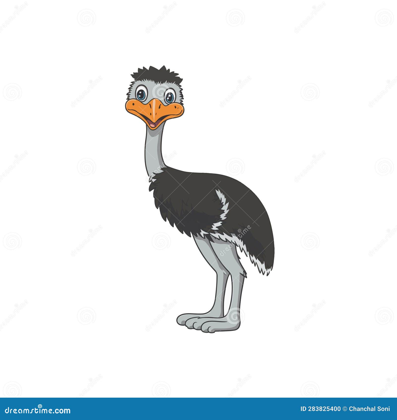 Cartoon Smiling Emu Vector Design Stock Photography | CartoonDealer.com ...