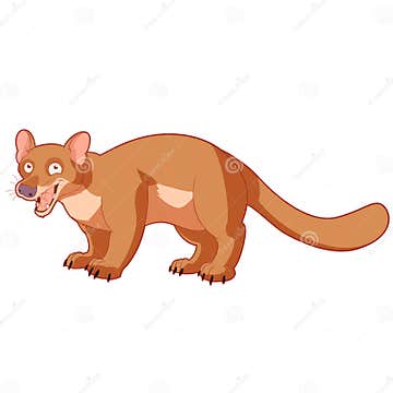 Cartoon smiling fossa stock vector. Illustration of cunning - 88132563
