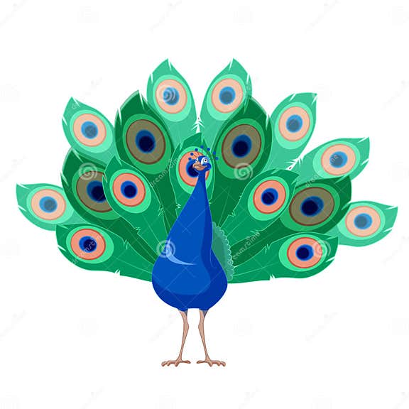 Cartoon smiling Peacock stock vector. Illustration of elegant - 93953732