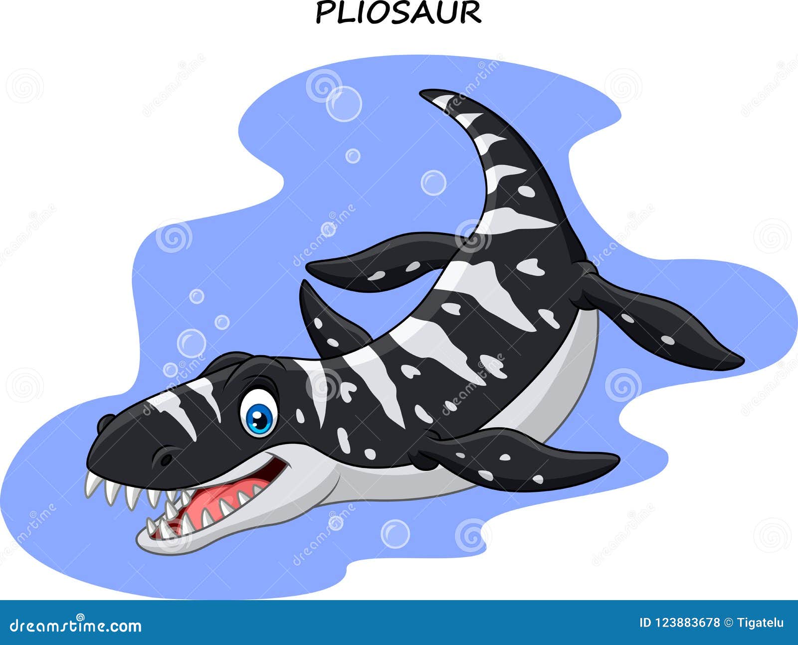 Cute Pliosaur Swimming. Dinosaur Life. Vector Illustration Of ...