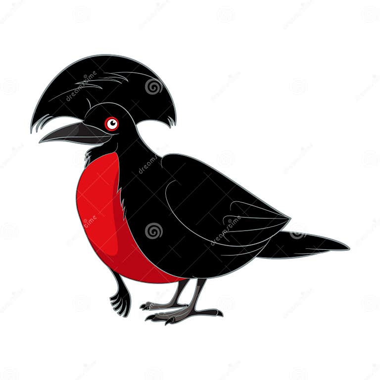 Cartoon Smiling Umbrellabird Stock Vector - Illustration of vector ...
