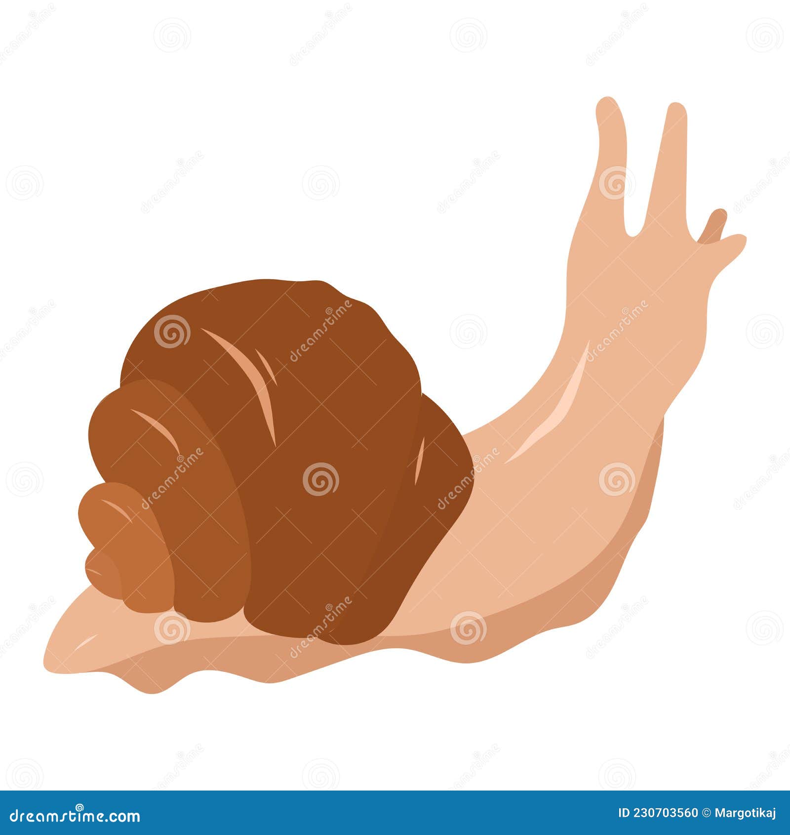 Cartoon Snail with Shell. Vector Stock Vector - Illustration of alchemy ...