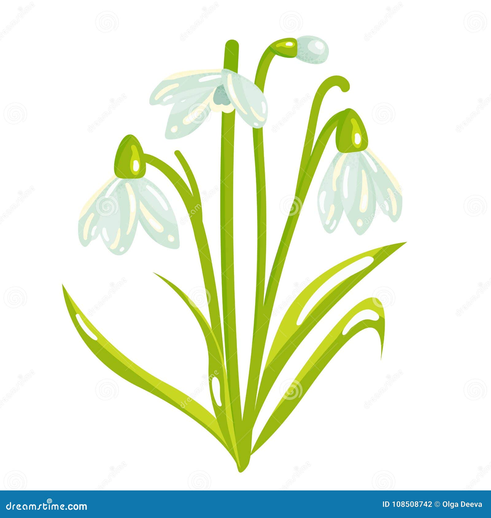 Cartoon Snowdrop Spring Flower Illustration Stock Vector - Illustration ...